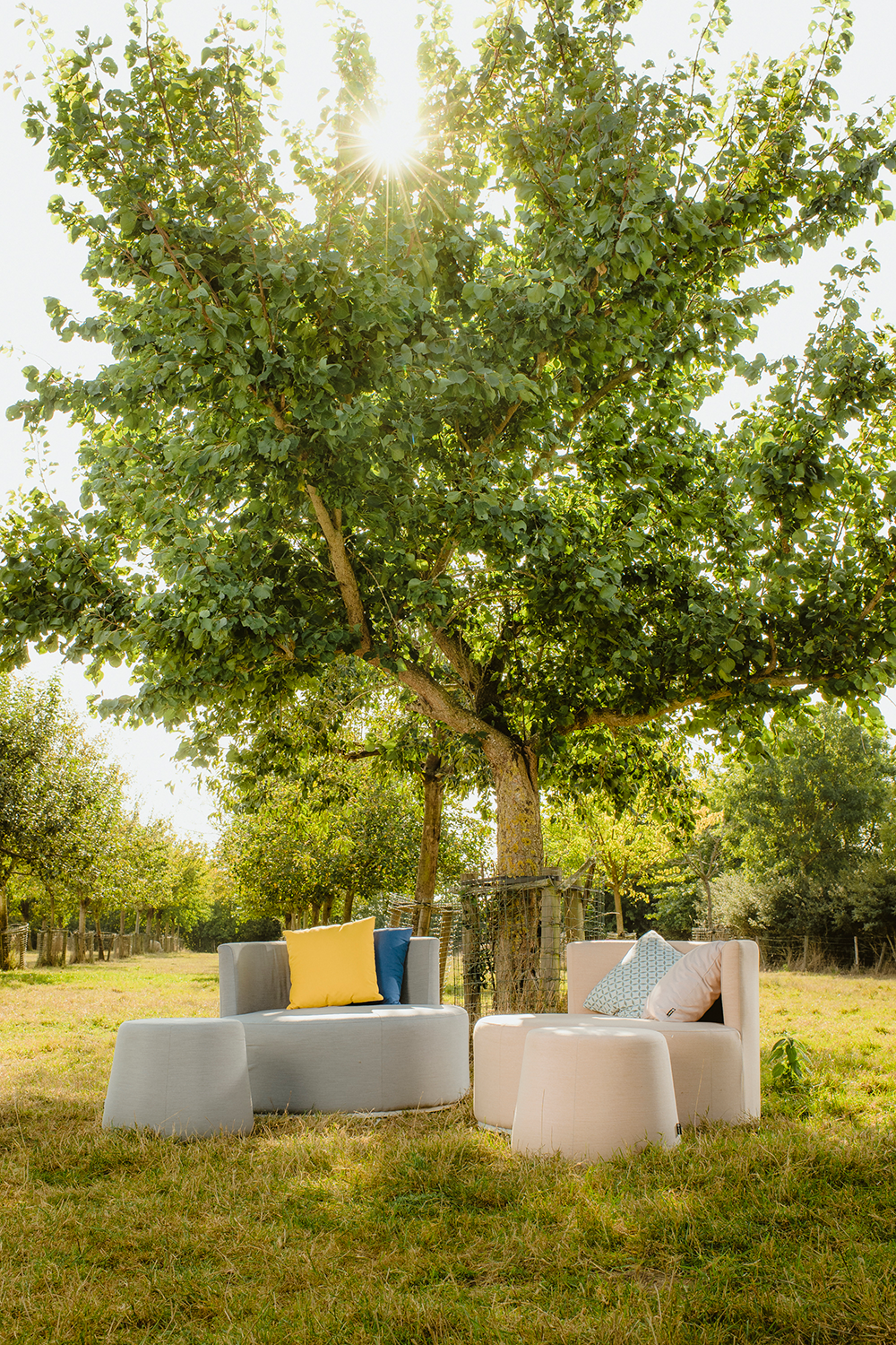 loop lounge | STAY ™ Furniture
